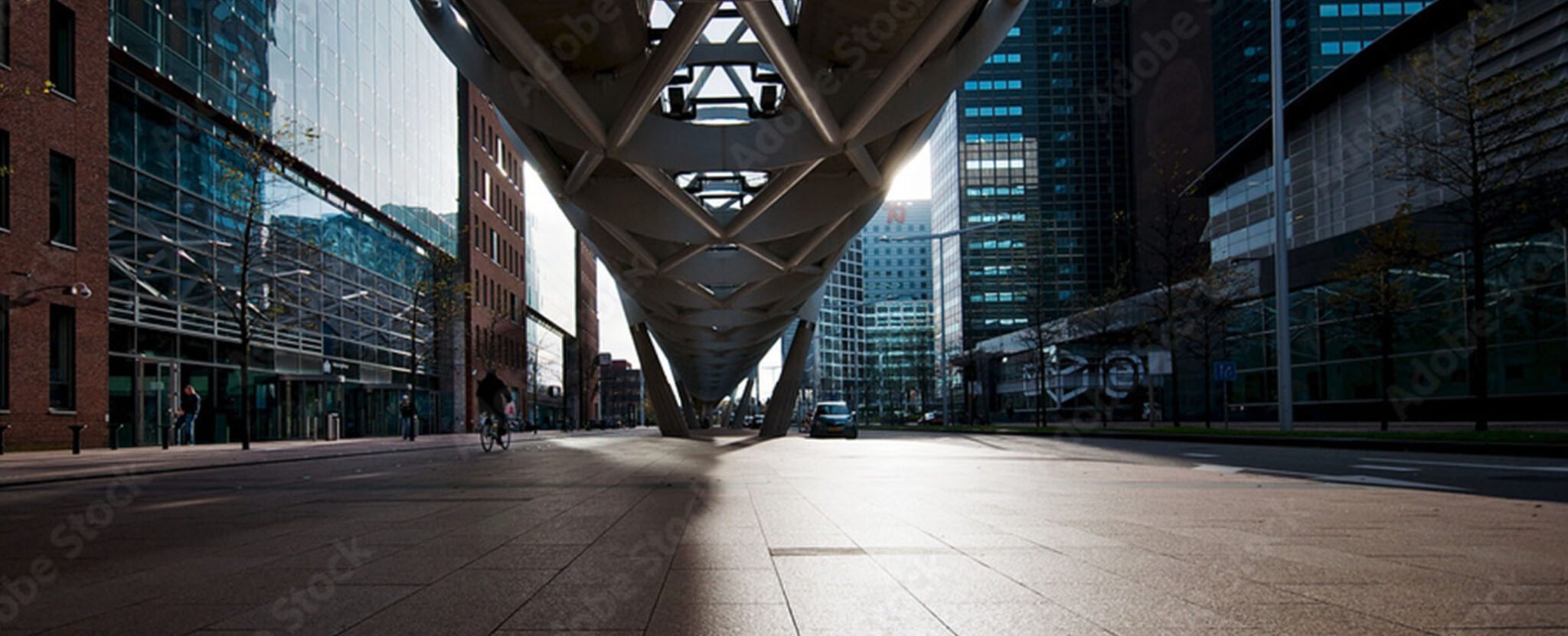 Verstening in Nederlandse steden - BomenCampus